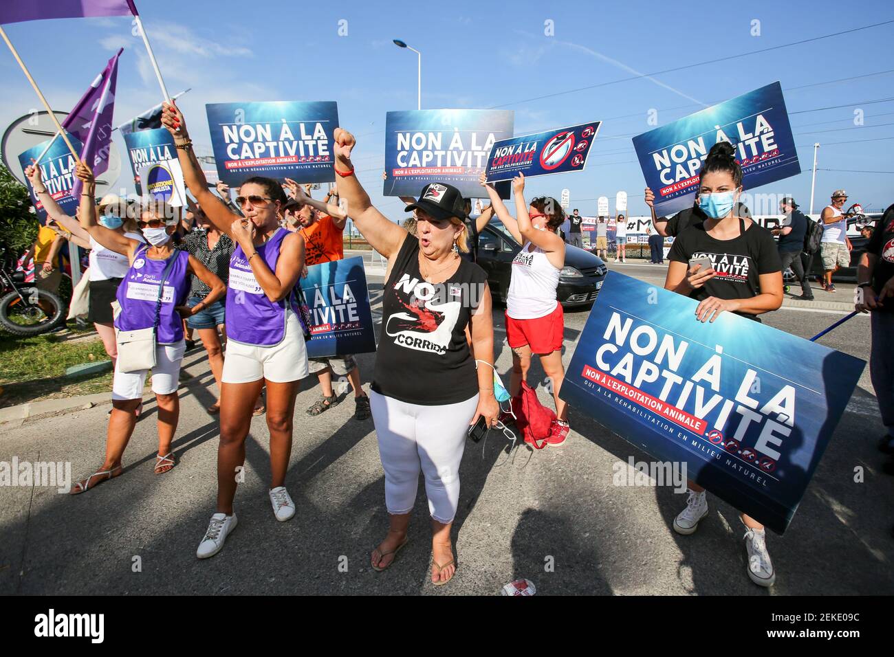Activists holding several placards during the demonstration. Animal ...