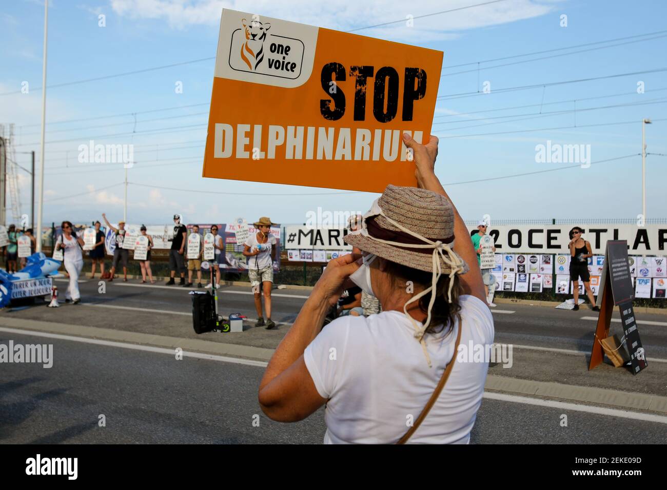 Activist holding up a “stop dolphinarium” placard during the ...