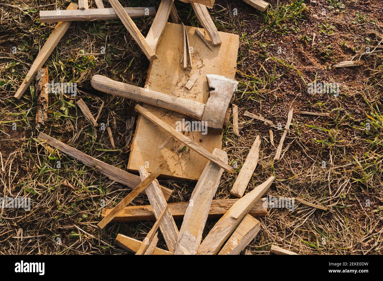 Shallowly hi-res stock photography and images - Alamy