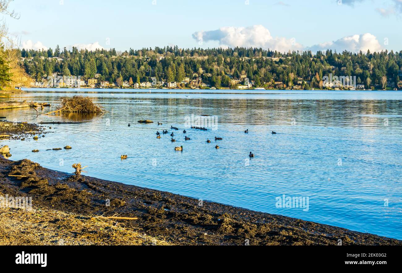 Mercer Island Wa Parks