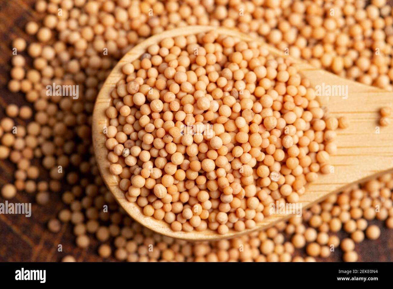 Spilled mustard seeds hi-res stock photography and images - Alamy