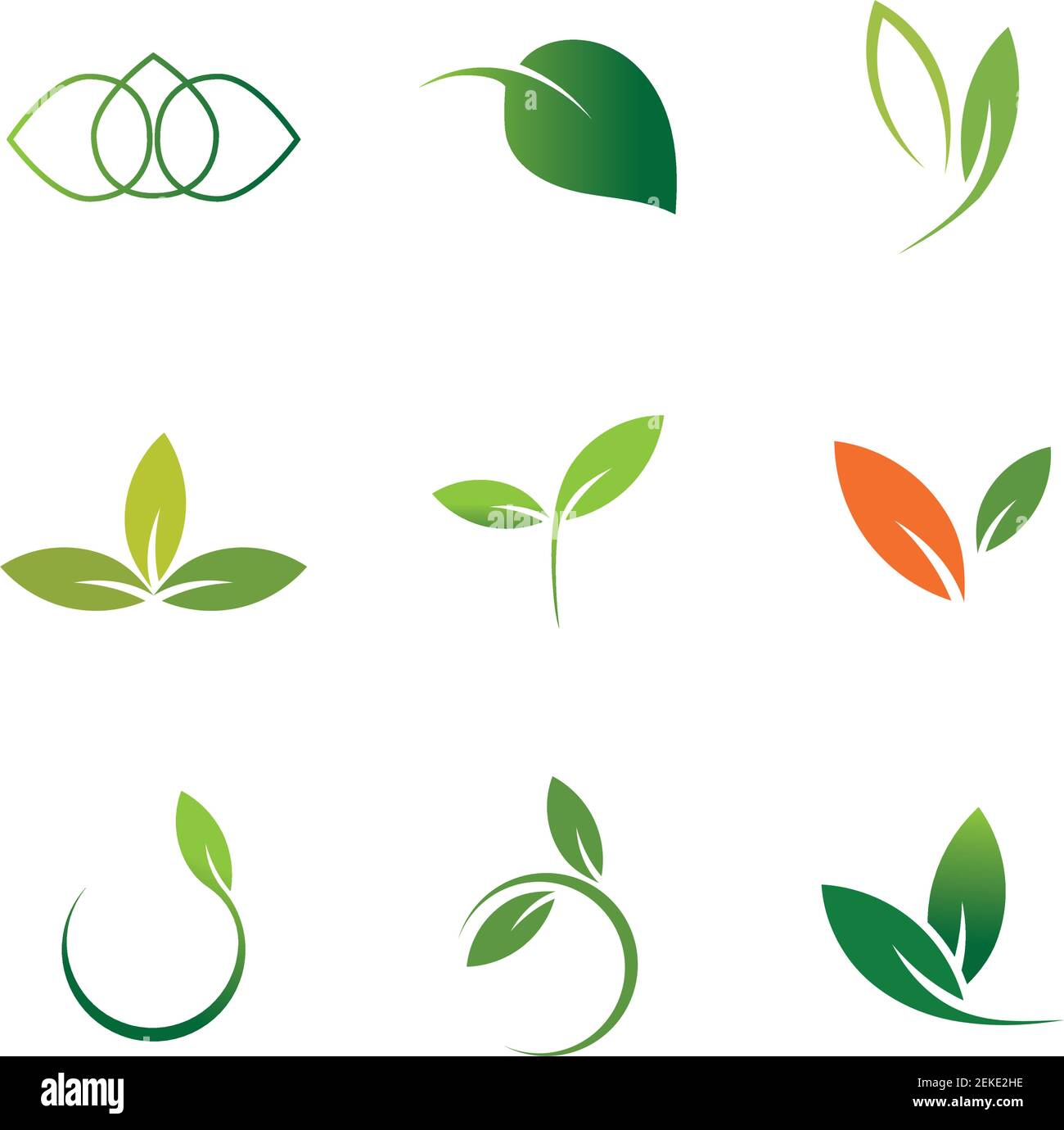 Leaves icon vector set isolated on white background. Various shapes of ...