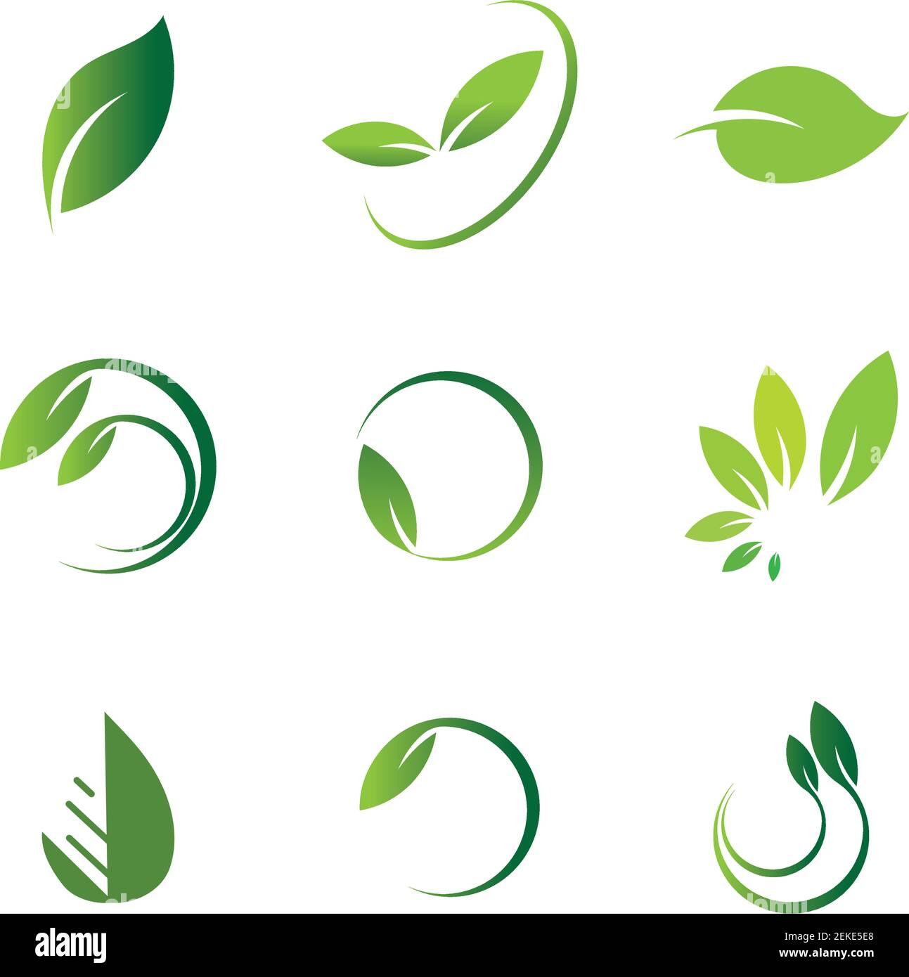 Leaf Vector Free Download