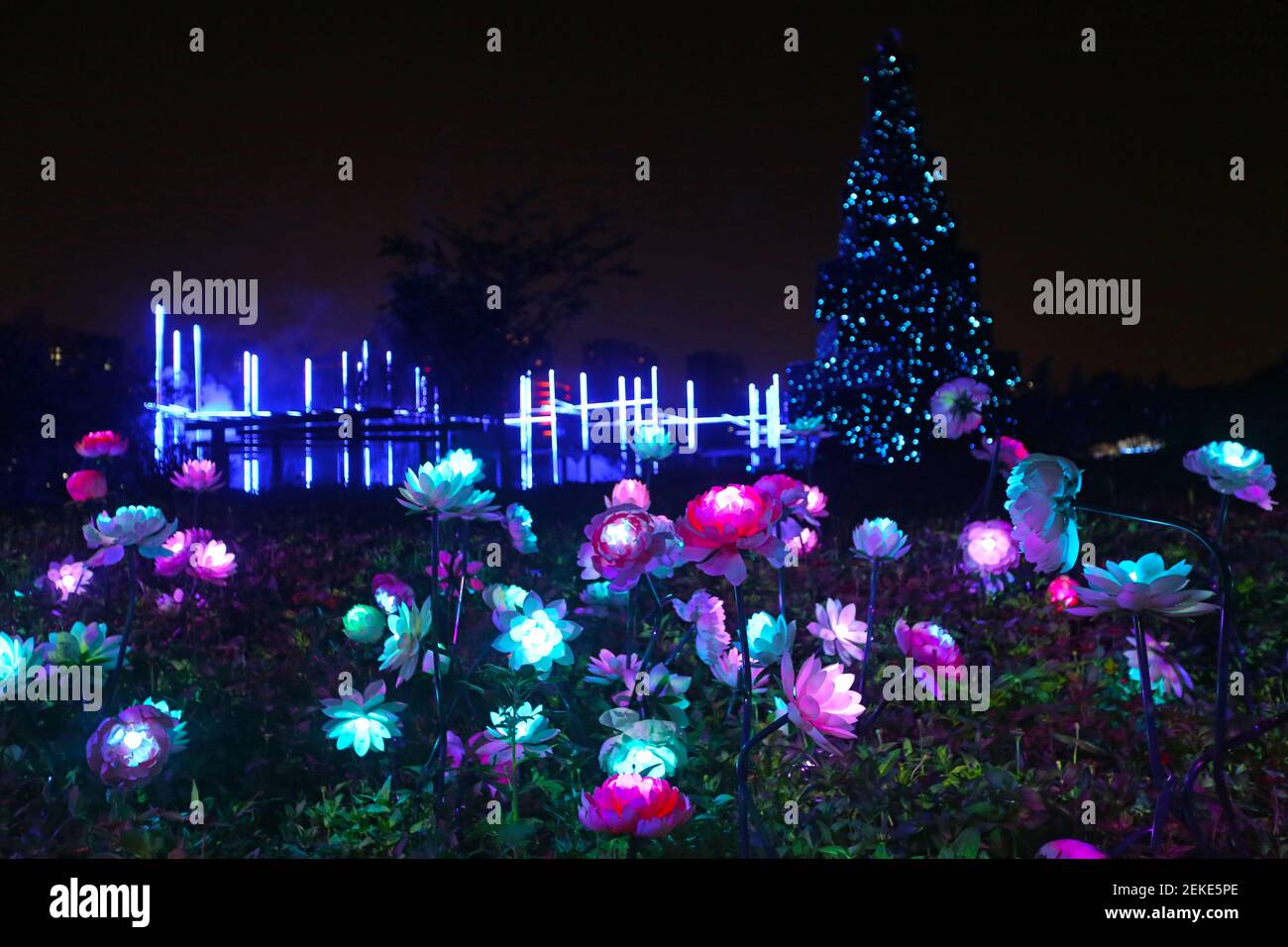 The 2020 Beijing International Light Festival's Alive Together outdoor ...