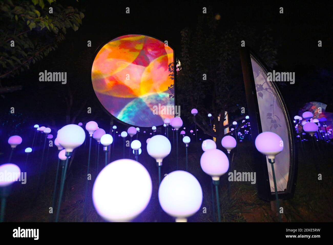 The 2020 Beijing International Light Festival's Alive Together outdoor ...