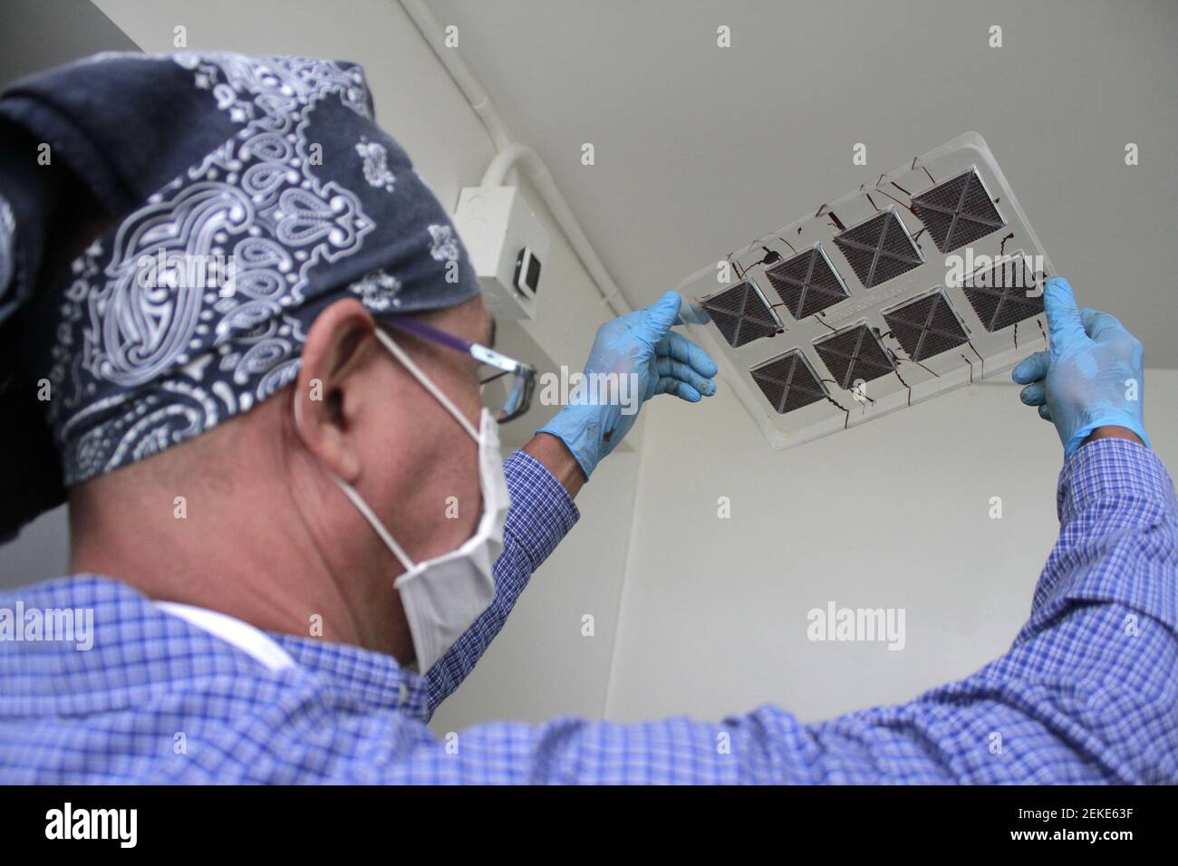 Robert Bonillo, co-founder of Cacao Pittier, checks the quality and ...