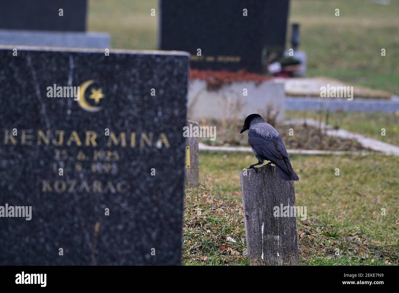 Vienna, Austria. The central cemetery in Vienna. The Islamic part at ...
