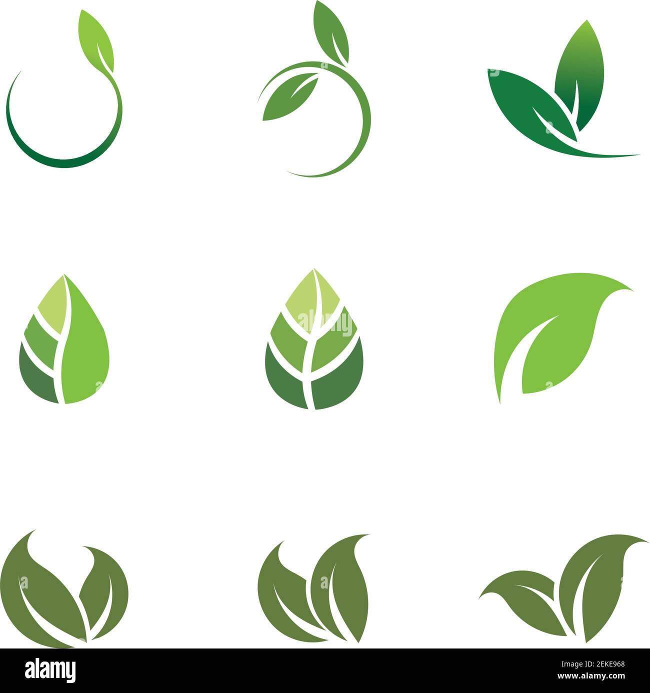 Leaves icon vector set isolated on white background. Various shapes of ...