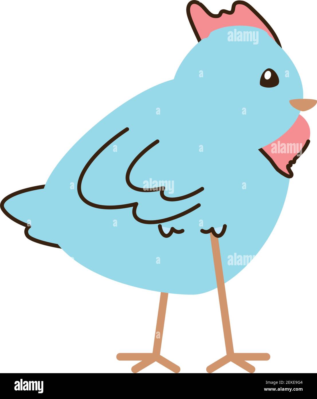blue chicken bird vector illustration cartoon isolated style Stock ...