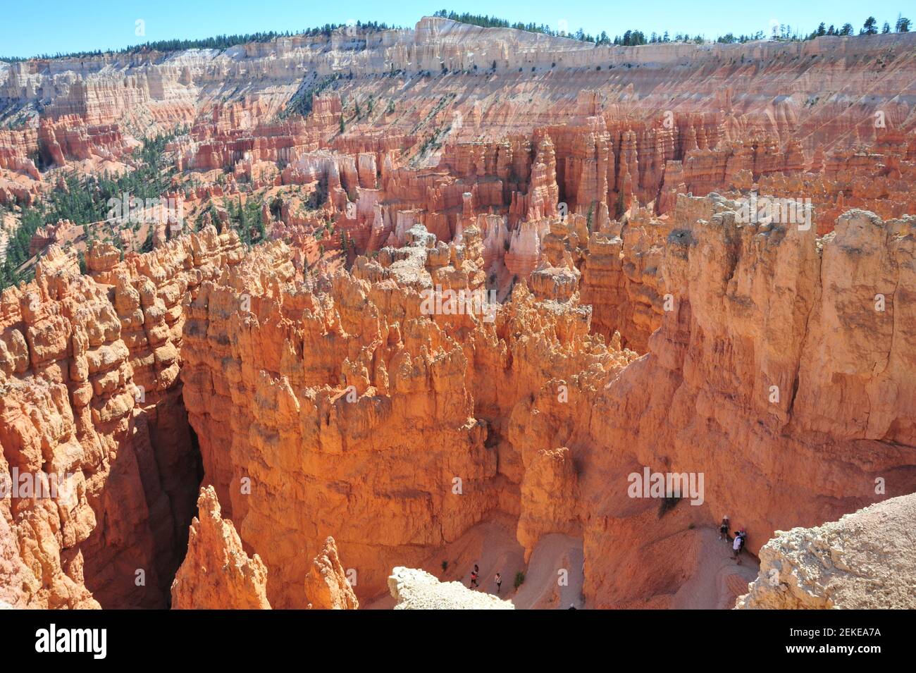 Bryce Canyon with people in shot Stock Photo - Alamy