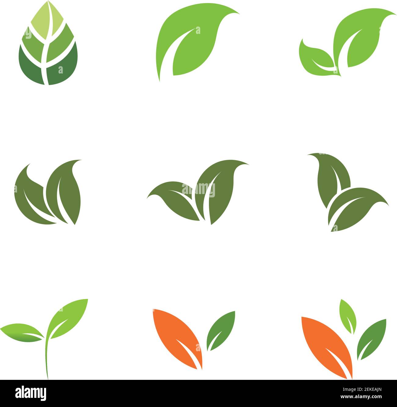 Leaves icon vector set isolated on white background. Various shapes of ...