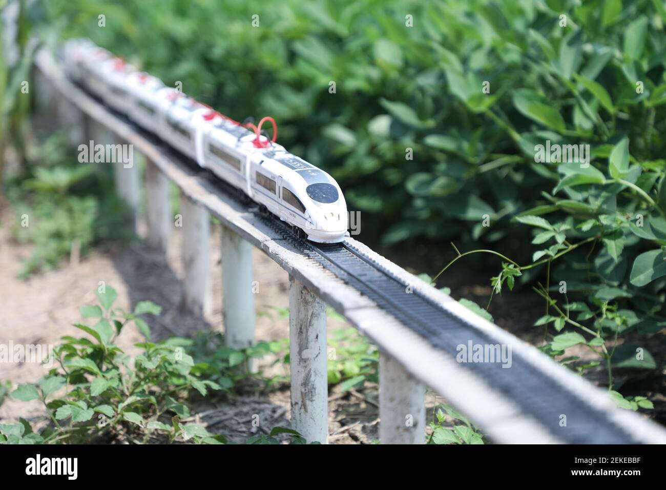 All miniature model of high-speed trains, stations, tunnels and bridges ...