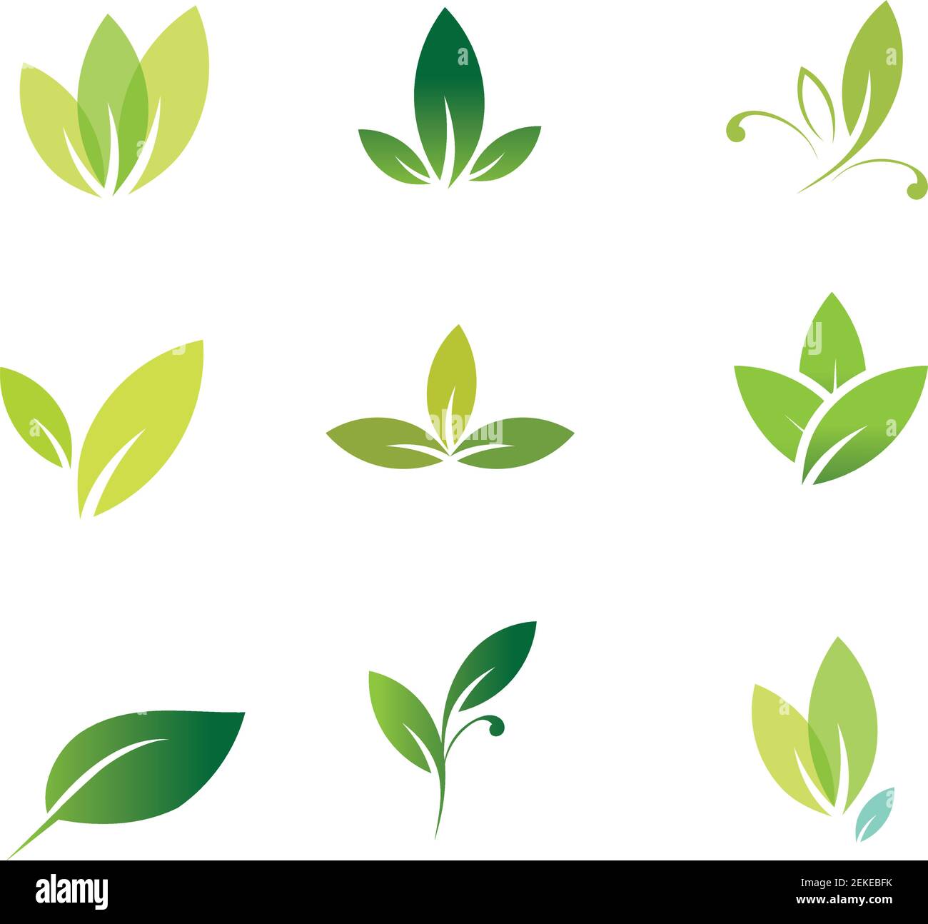 Leaves icon vector set isolated on white background. Various shapes of ...