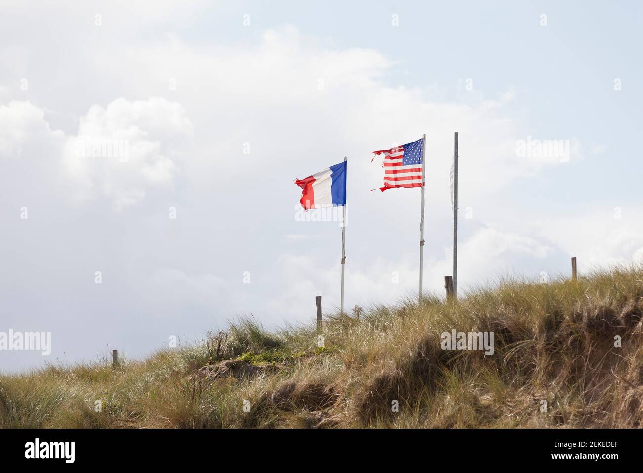 The French and American flags blow in the wind above the dunes of Utah Beach. Normandy, France ...
