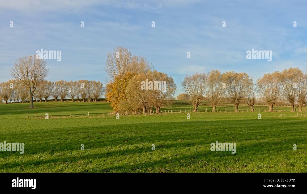 autumn landscape with meadows and colorful trees in flemish ardennes ...