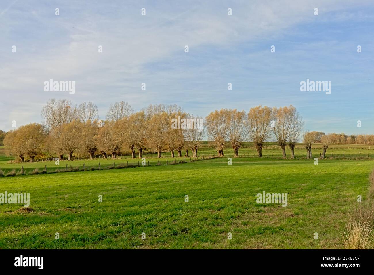 autumn landscape with meadows and colorful trees in flemish ardennes ...