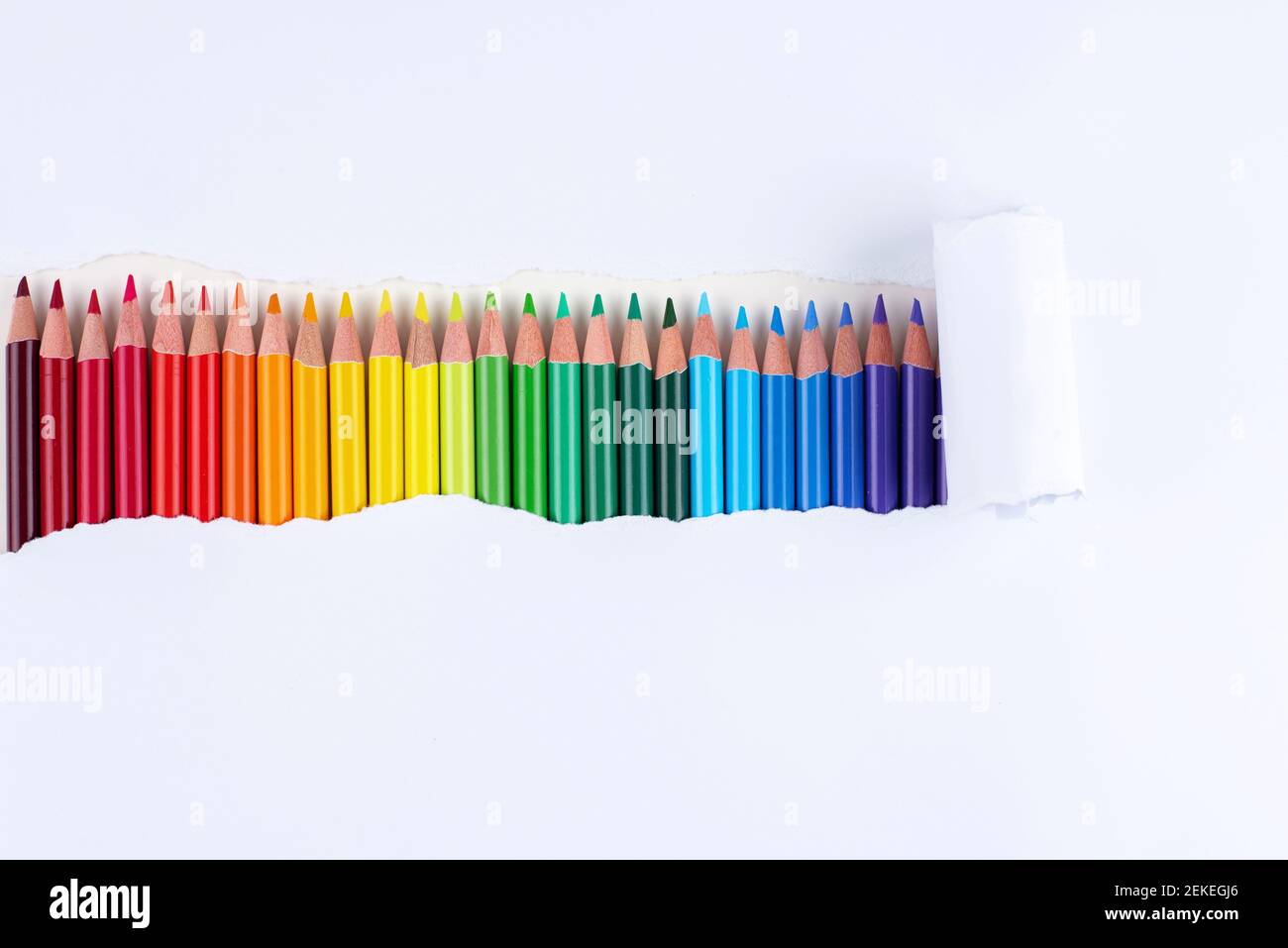 A rainbow of pencils in a strip of torn white paper on a white ...