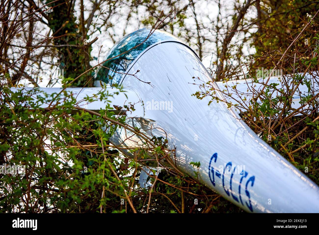 General view of a Schempp-Hirth Arcus T glider after it crashed into ...
