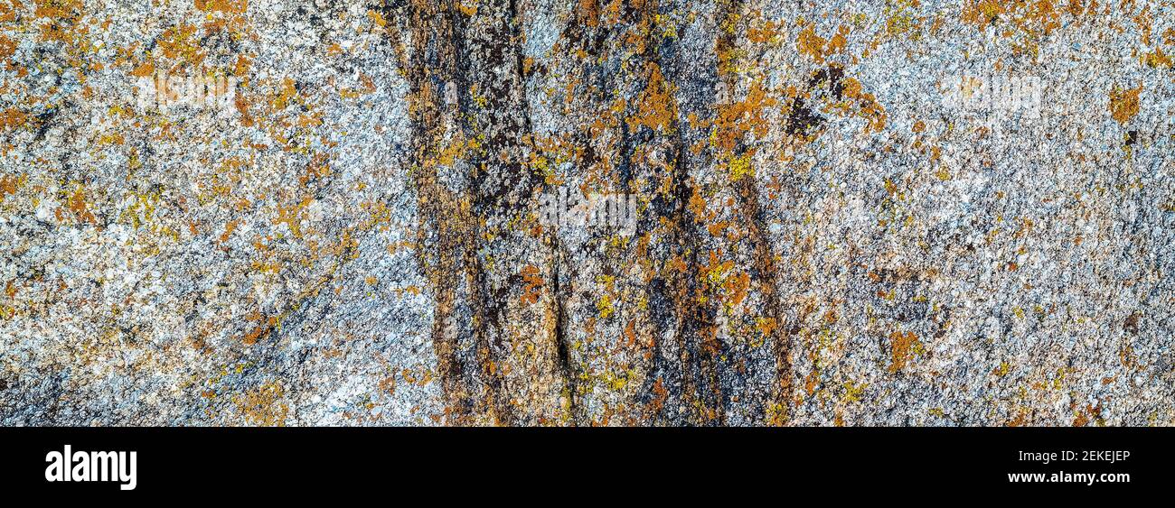 Colorful lichen on rock formation, Alabama Hills, Inyo County ...