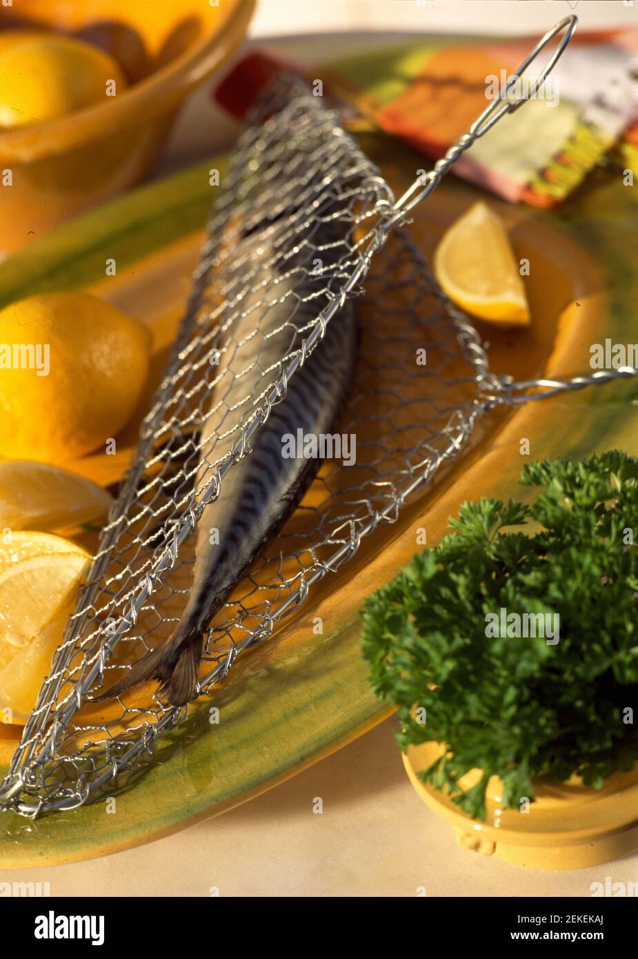 Hanger fish hi-res stock photography and images - Alamy