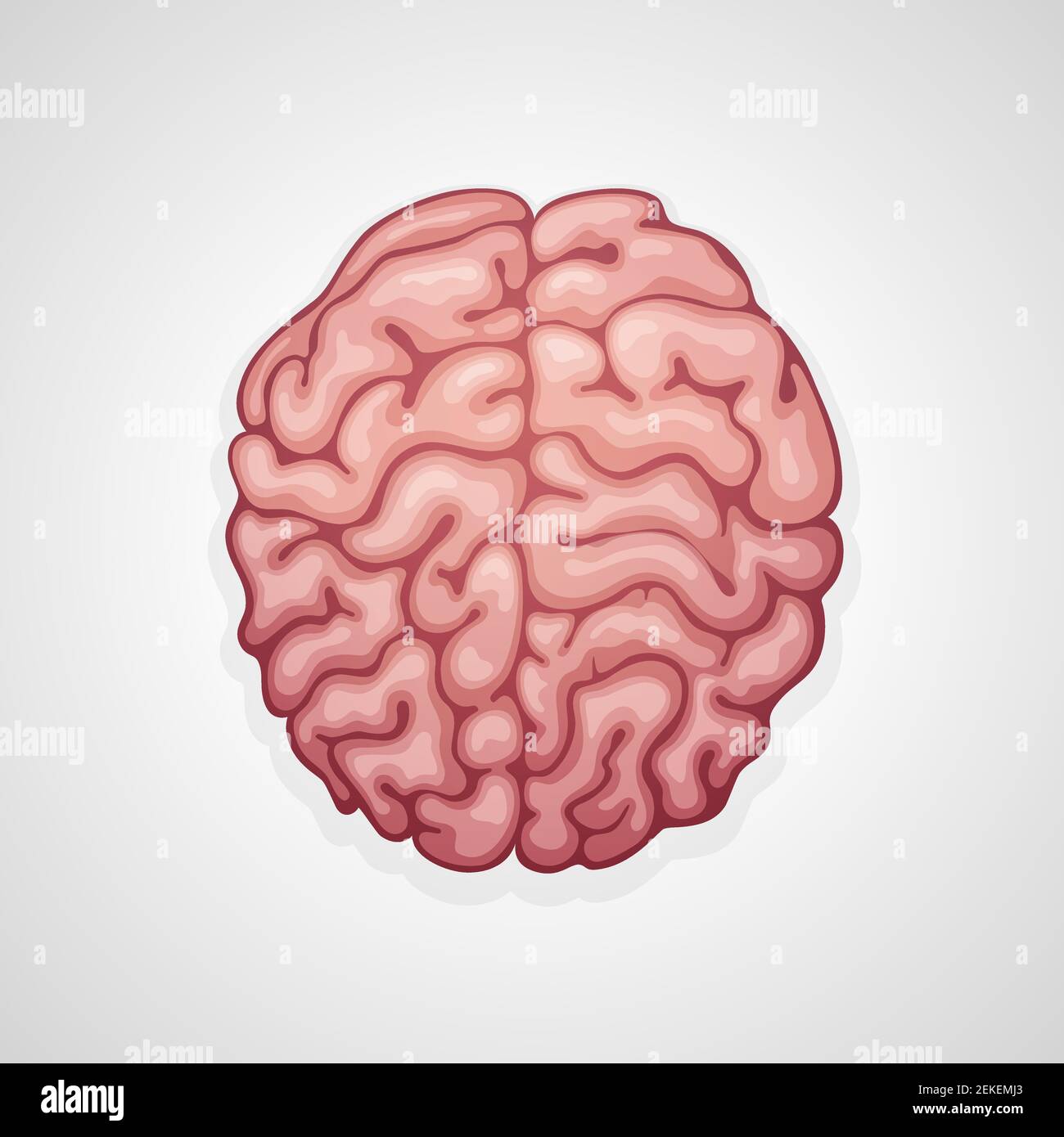Human brain, medical icon of neurology and anatomy science. Vector ...