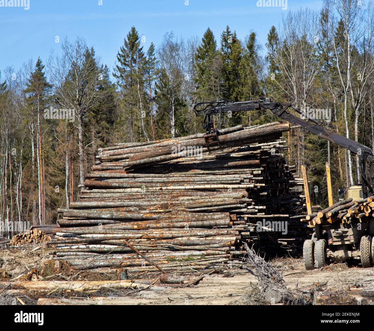 Forest industry. Operations for loading-unloading logging truck at ...