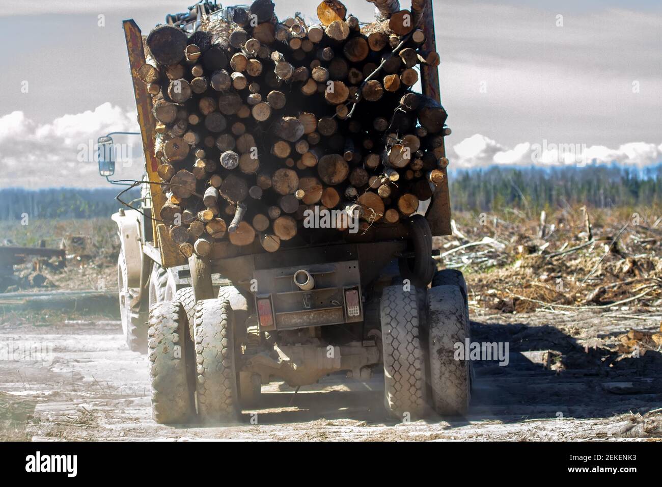 Forest industry. Operations for loading-unloading logging truck at ...