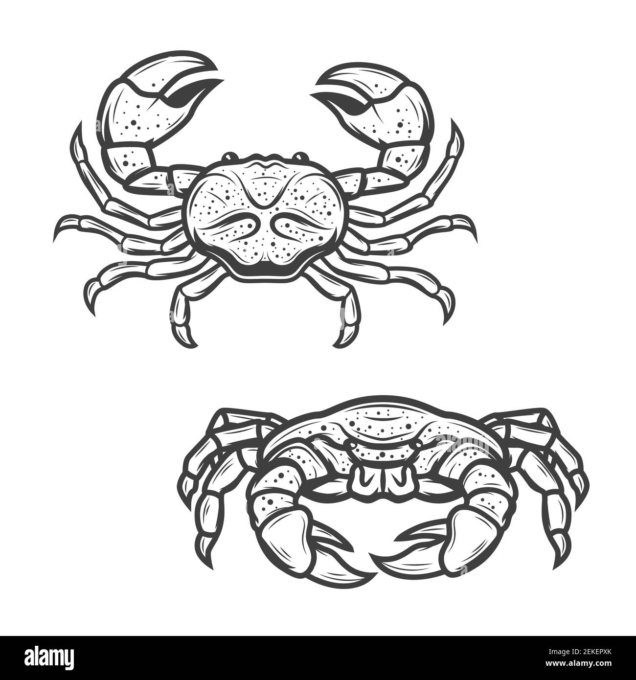 Crab snack Black and White Stock Photos & Images - Alamy