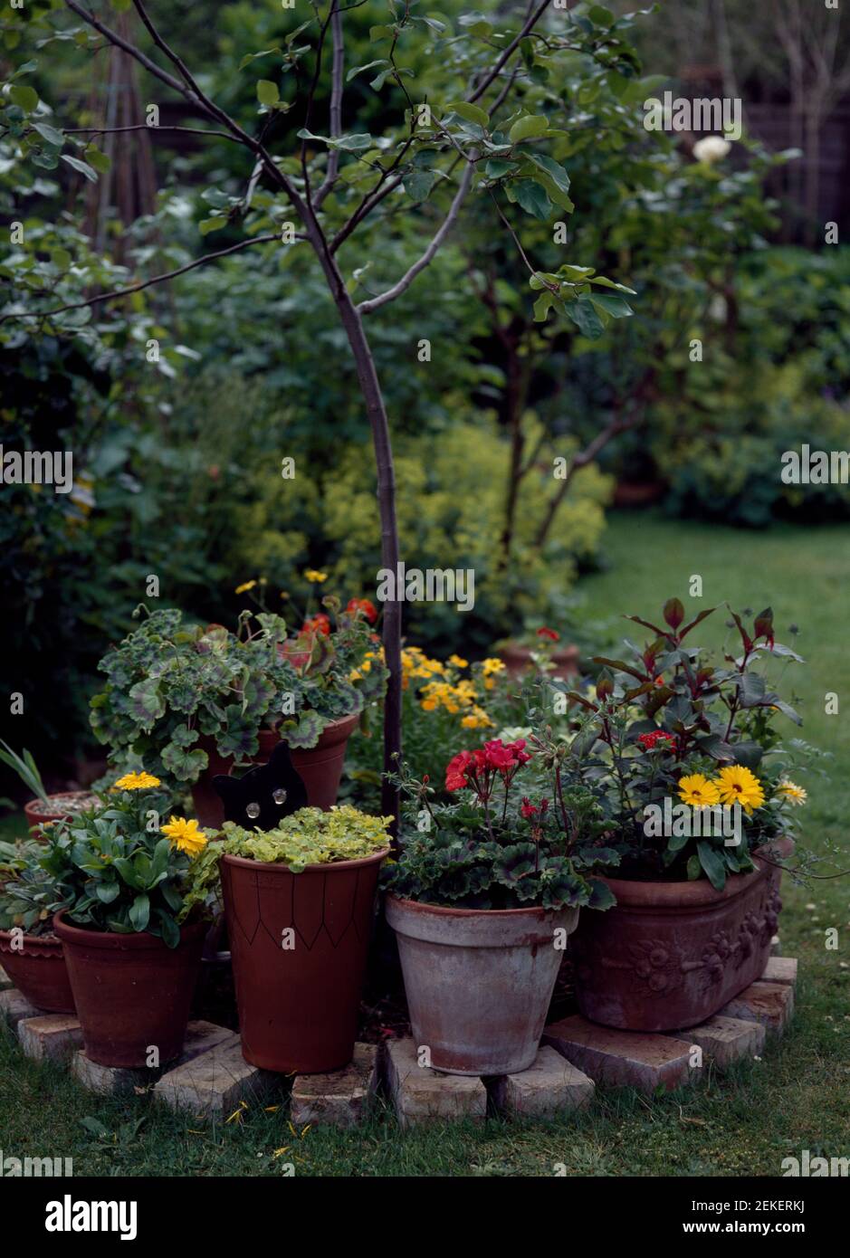 Pots off the ground hi-res stock photography and images - Alamy