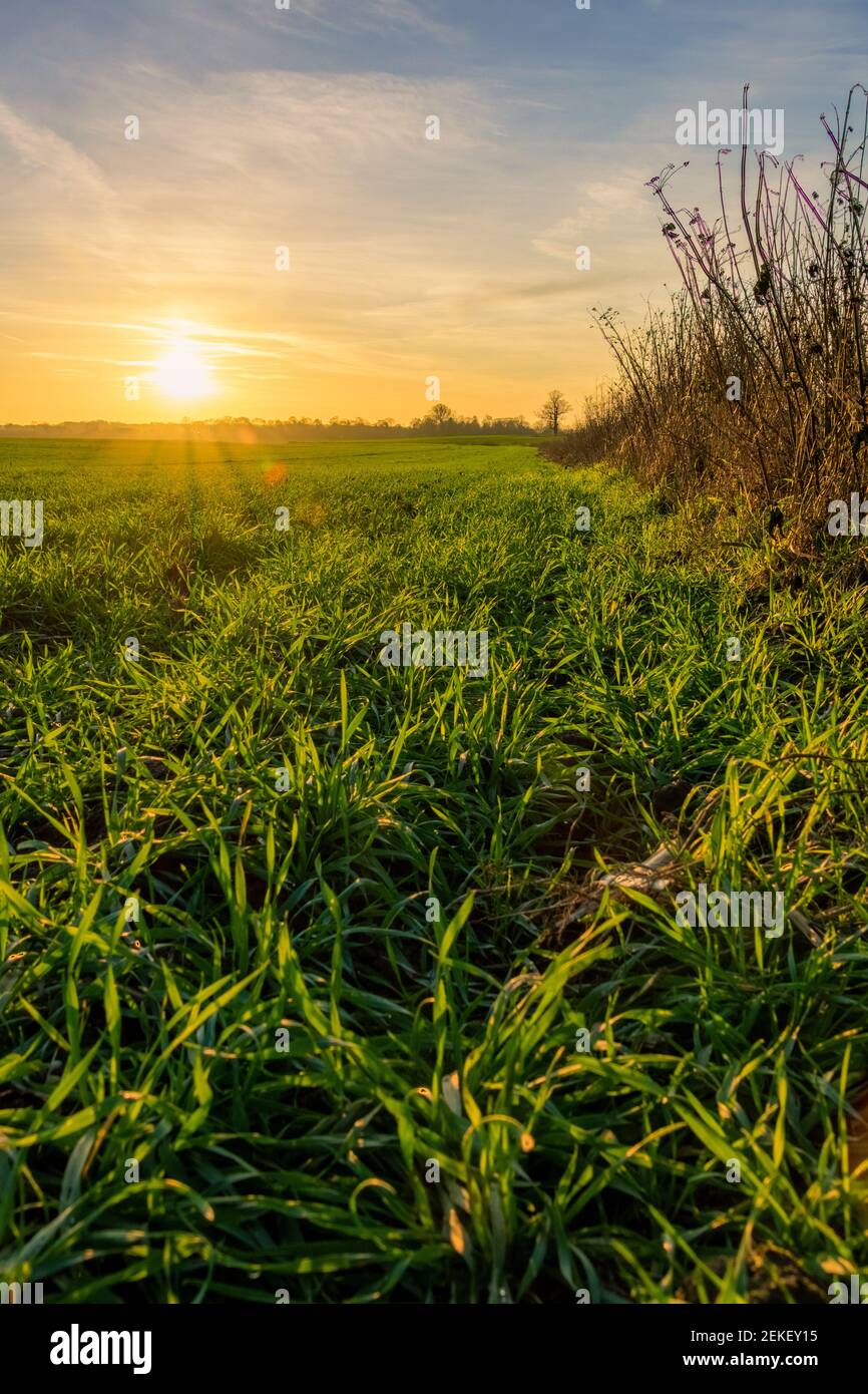 Sunset over the fields Stock Photo - Alamy