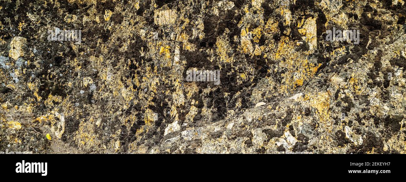 Formation of lichen hi-res stock photography and images - Alamy