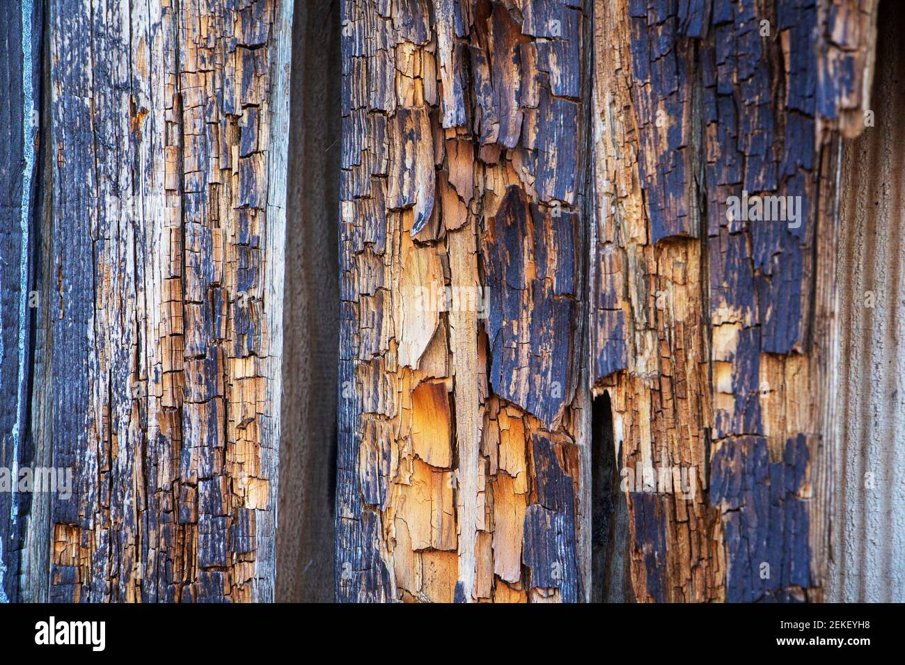 Rotten wooden structure hi-res stock photography and images - Alamy