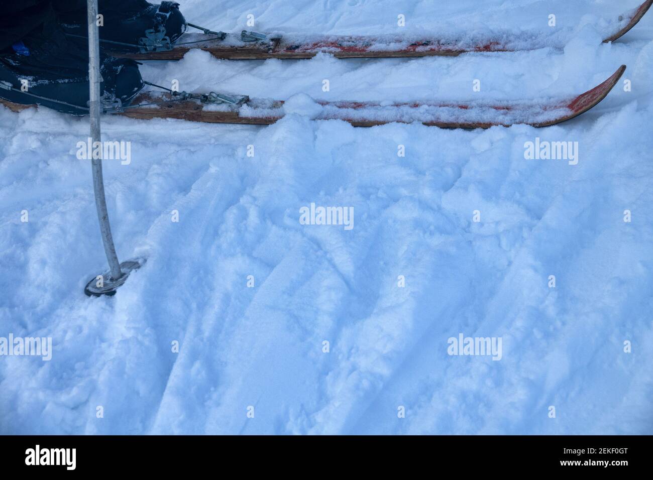 Skier's legs and skis (side position). Tourist skier on a long distance ...