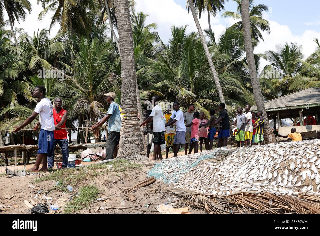 Villagers sharing fish from beach fishing net Cape Coast Ghana. Old ...