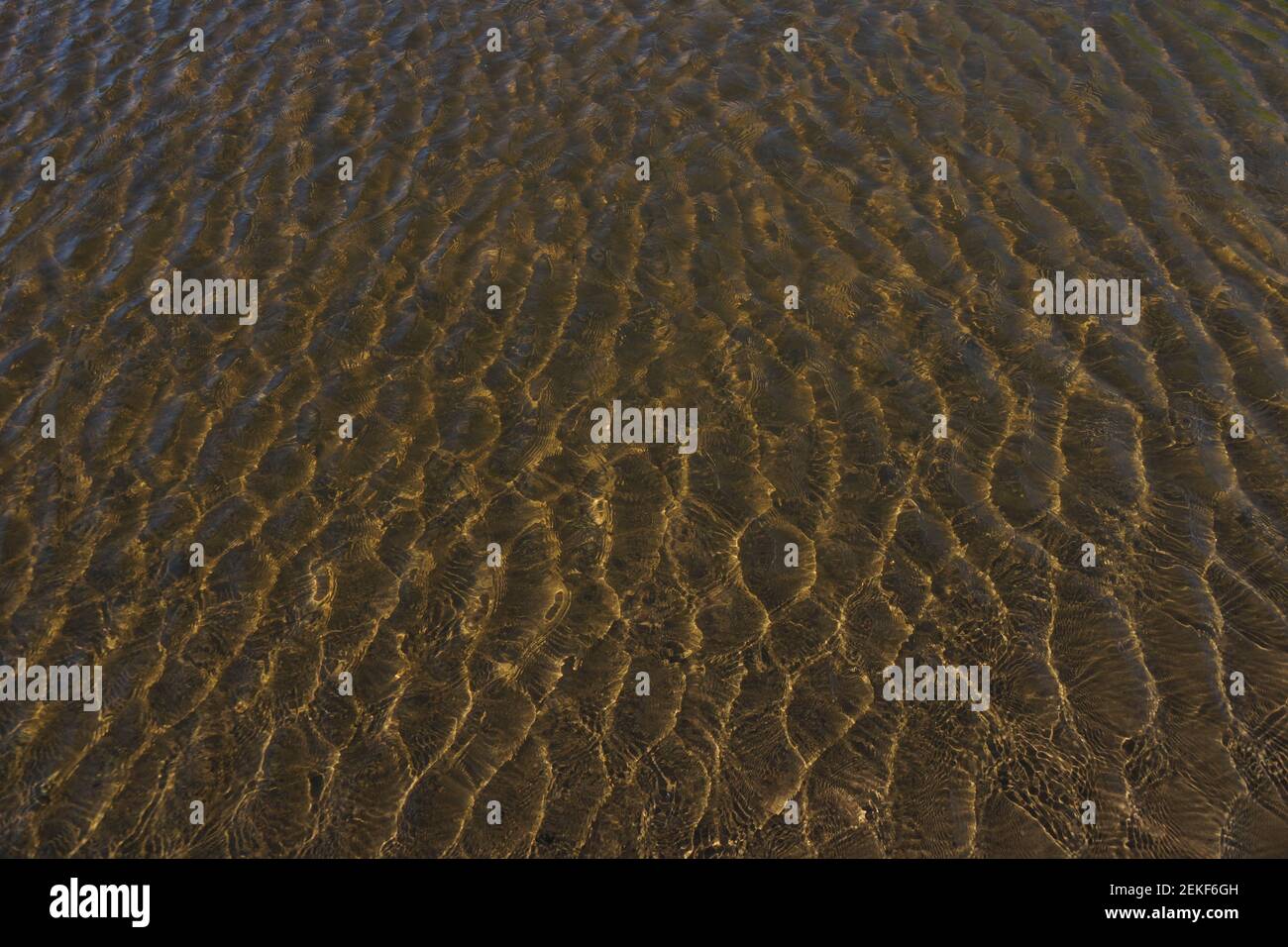 Pbr material hi-res stock photography and images - Alamy