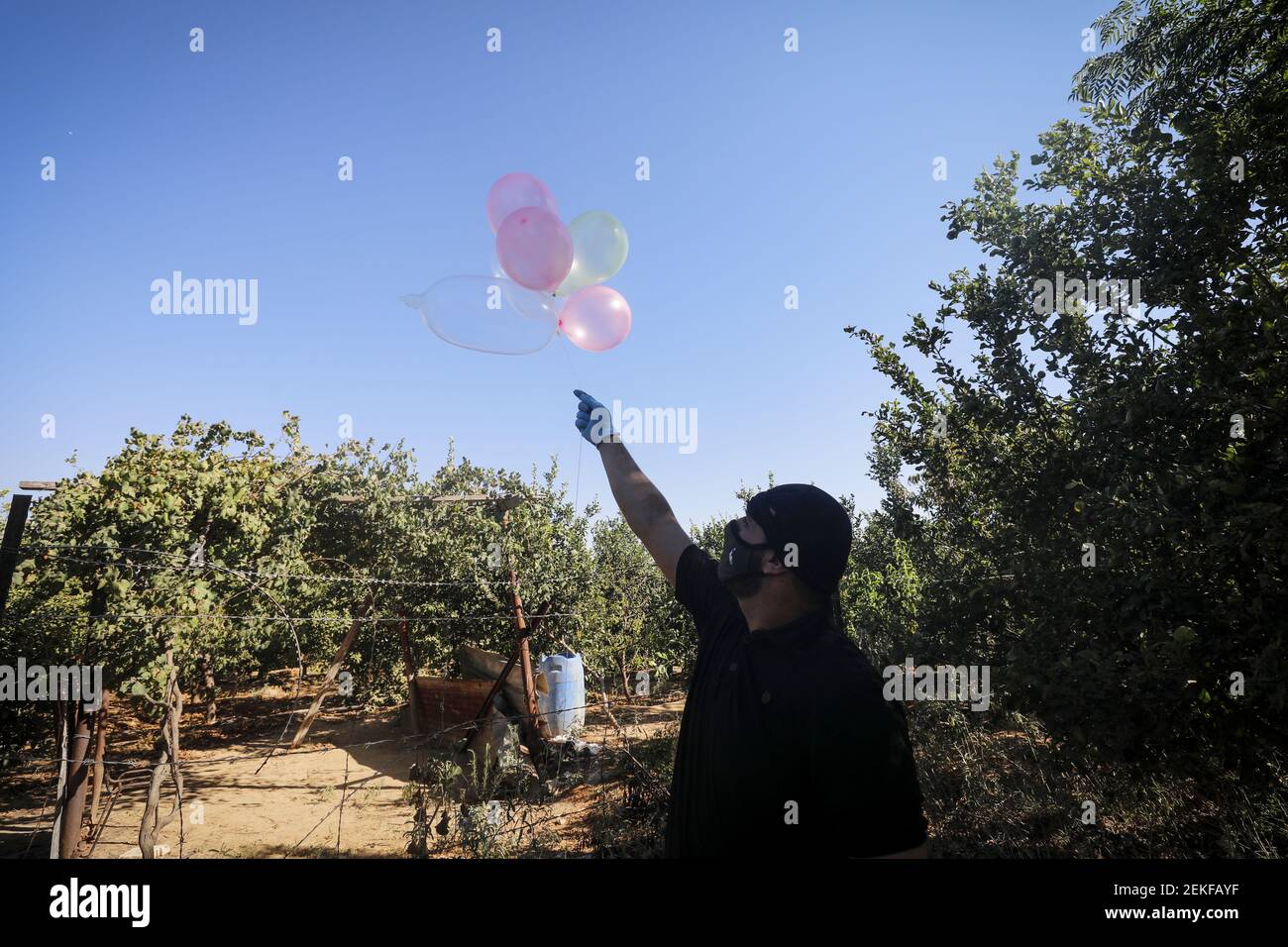 Masked Palestinian releasing balloons attach with incendiary devices ...
