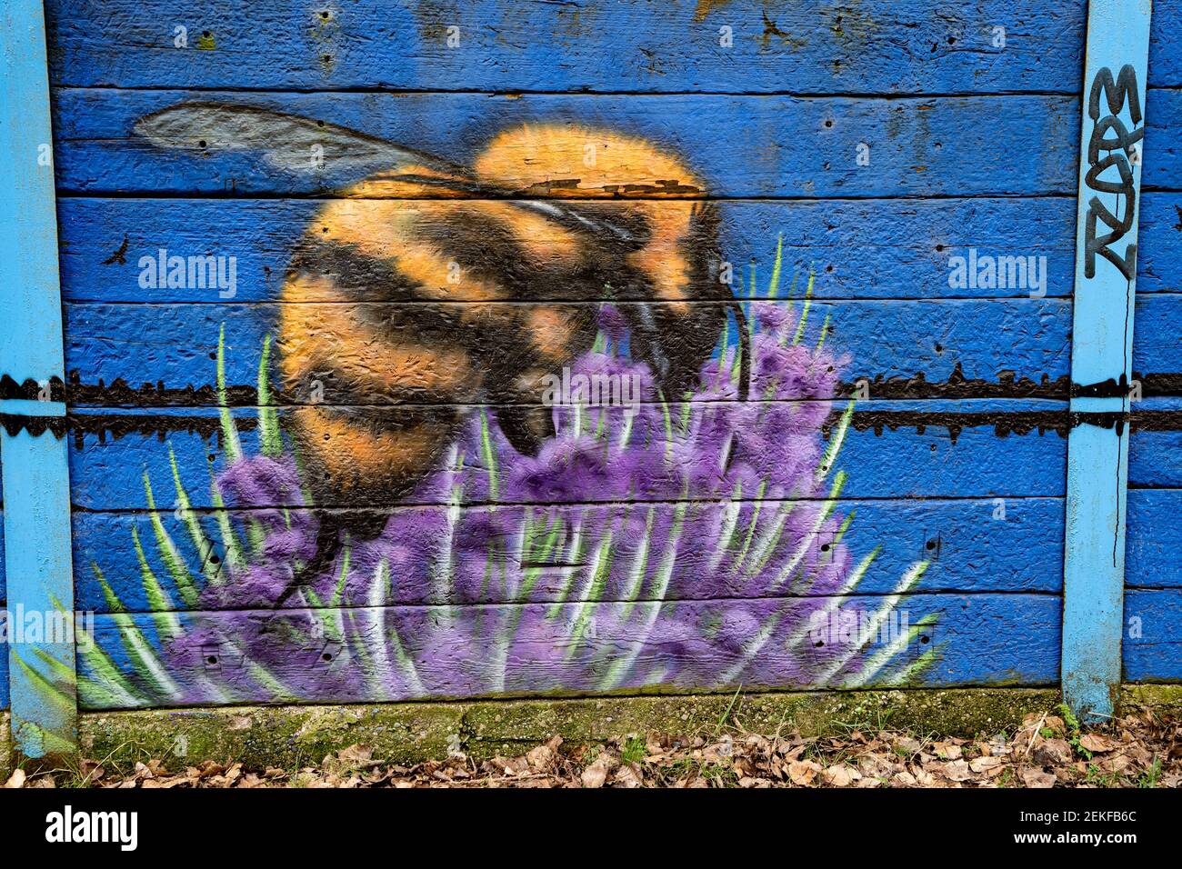 Bee mural hi-res stock photography and images - Alamy