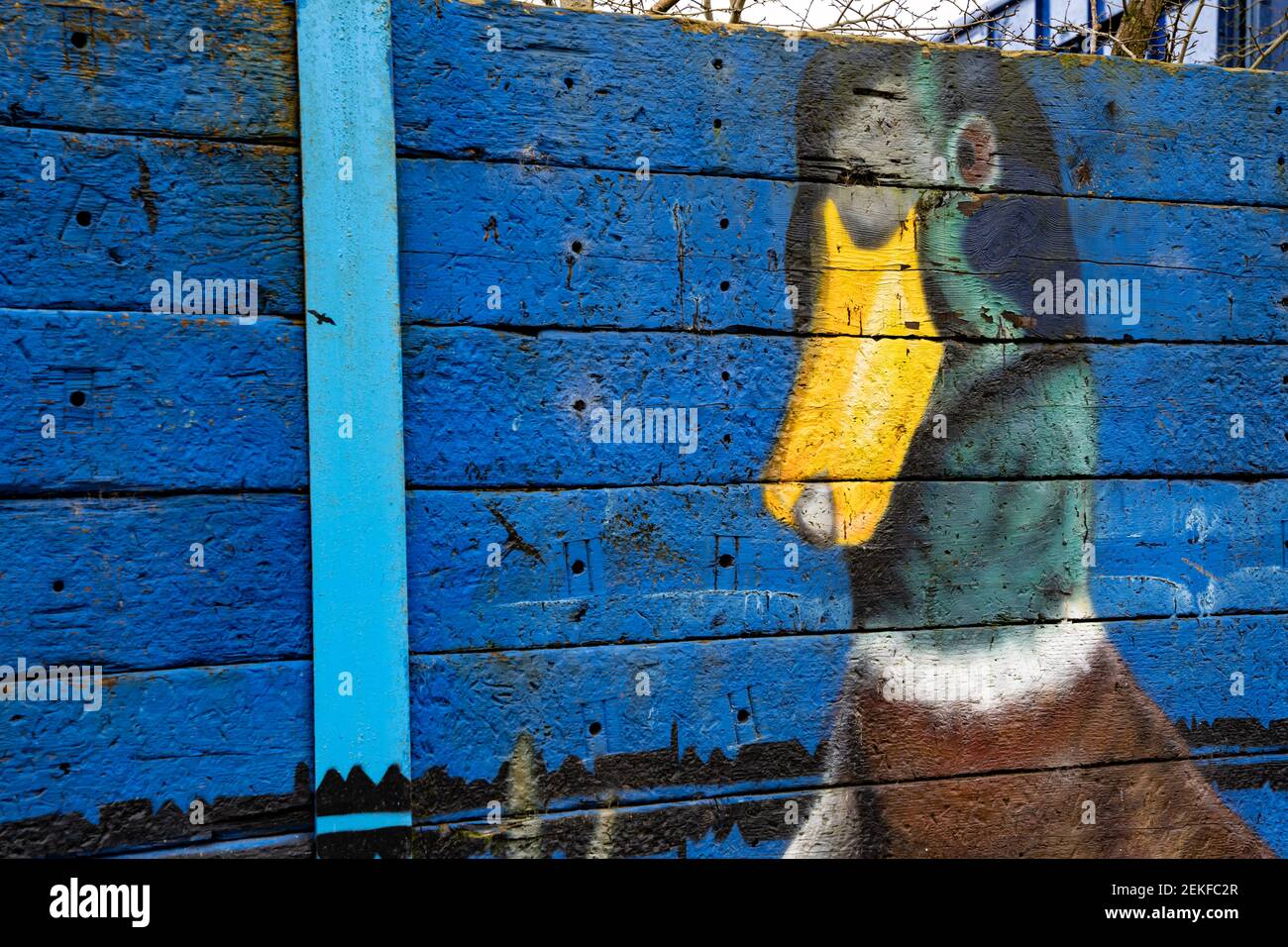 Mural of a mallard duck on a fence by the Trent and Mersey canal ...