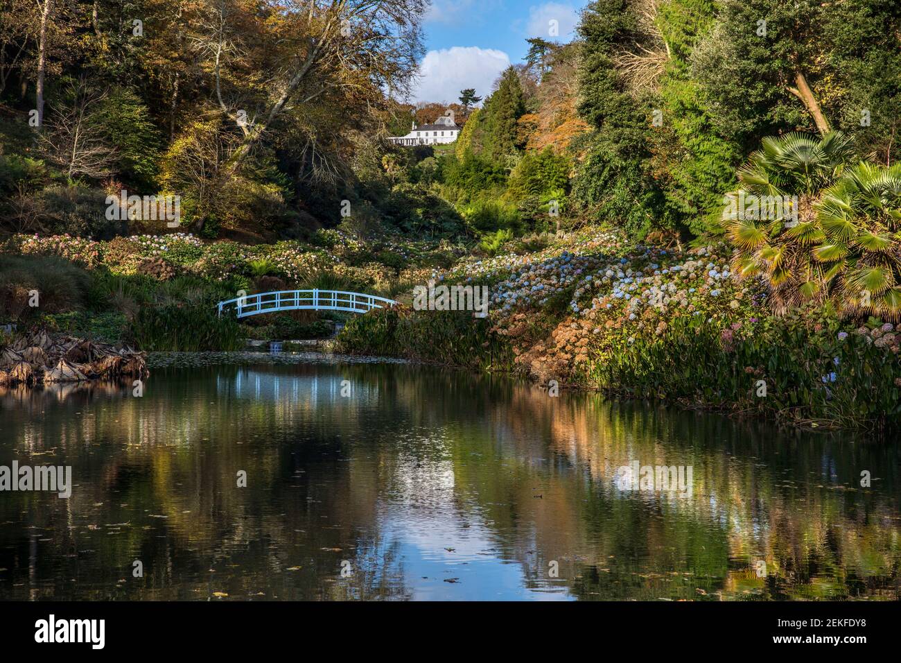 Trebah Garden; Autumn; Cornwall; UK Stock Photo - Alamy
