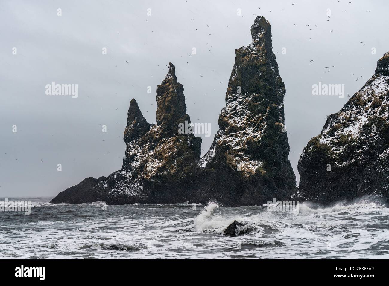Basalt rock formations Troll toes on black beach. at storm ...