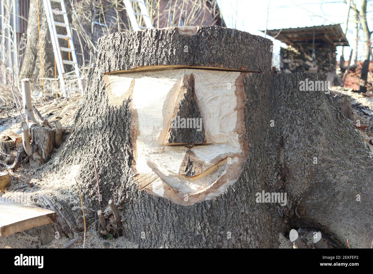 Face in a tree Stock Photo - Alamy