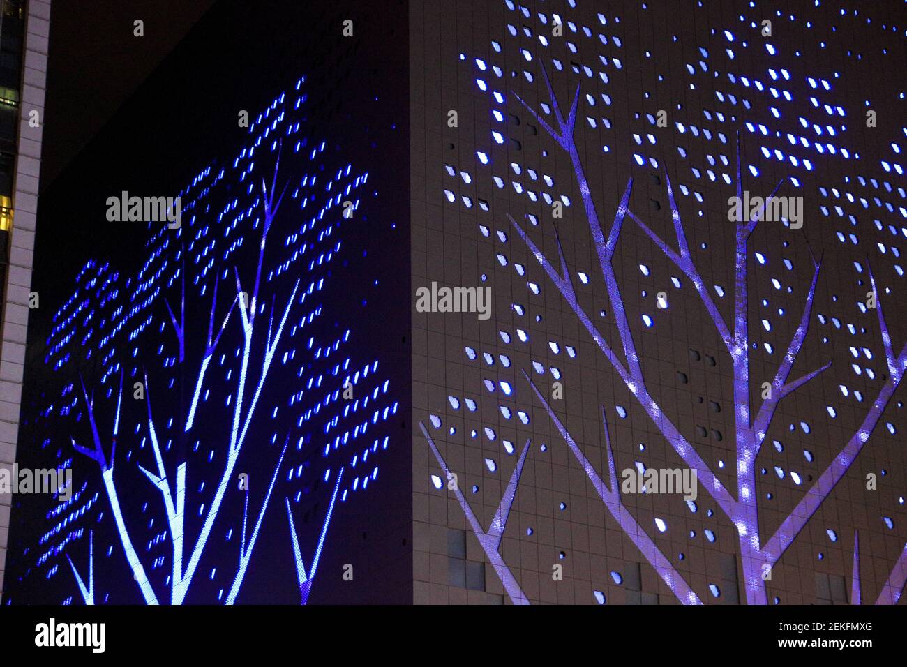 View of the LED lighted tree building in Huhhot city, north China's ...