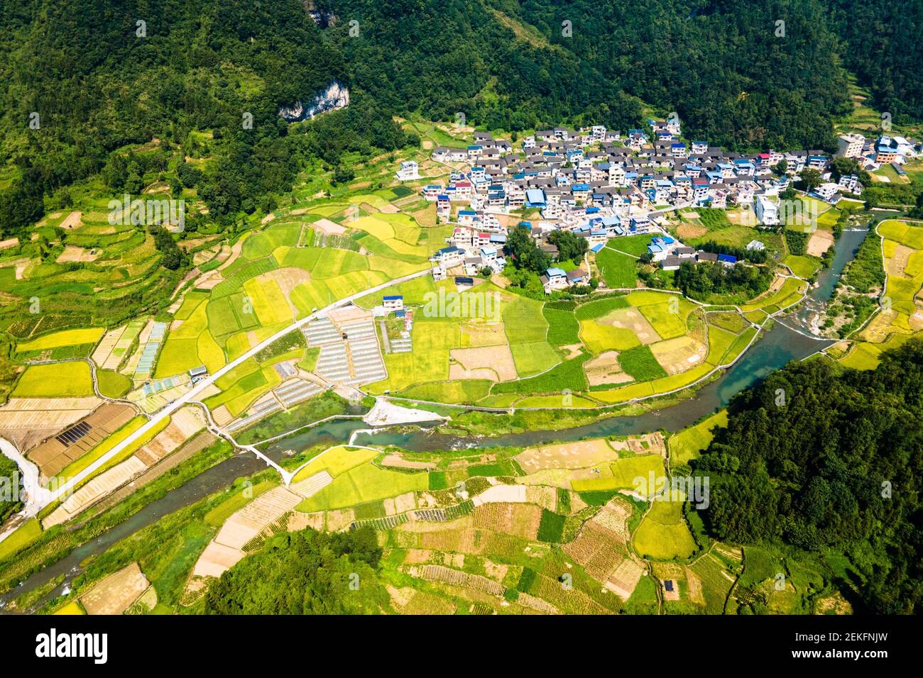 Aerial view of farmers harvesting in a field as autumn comes in Tujia ...