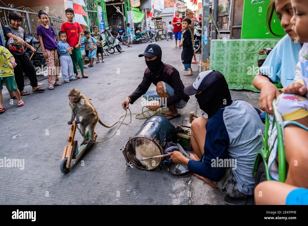 Otoy, a monkey trained to perform various tricks popularly known as ...
