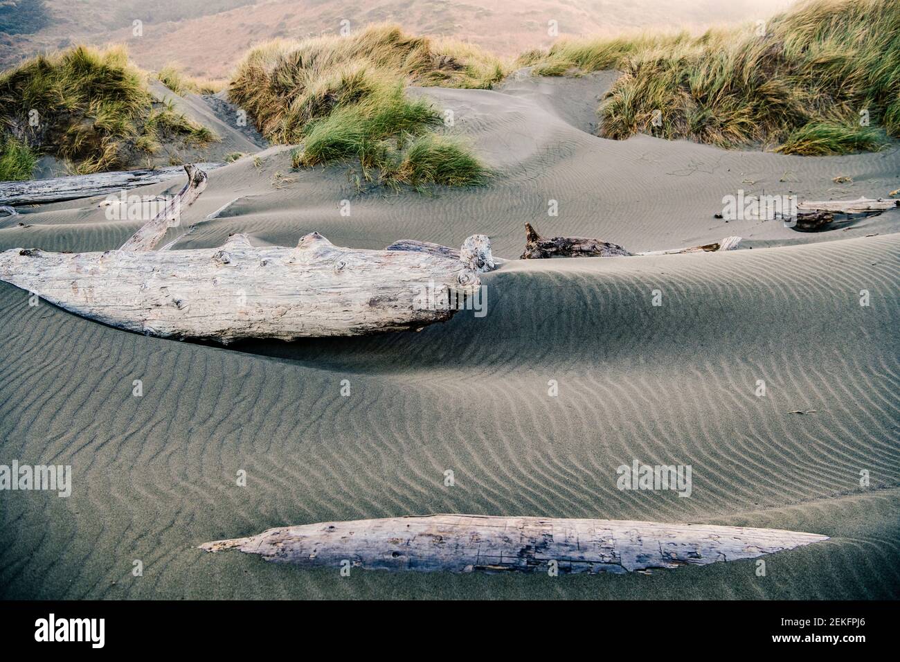 Wind pattern in sand, Myers Creek Beach, Gold Beach, Oregon, USA Stock ...