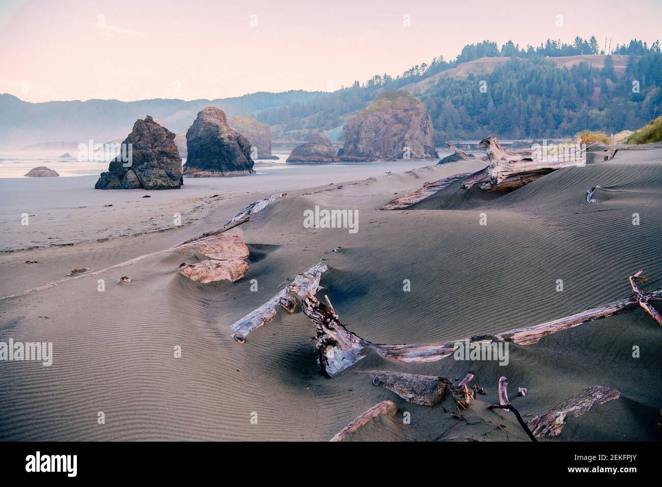 Wind pattern in sand, Myers Creek Beach, Gold Beach, Oregon, USA Stock ...