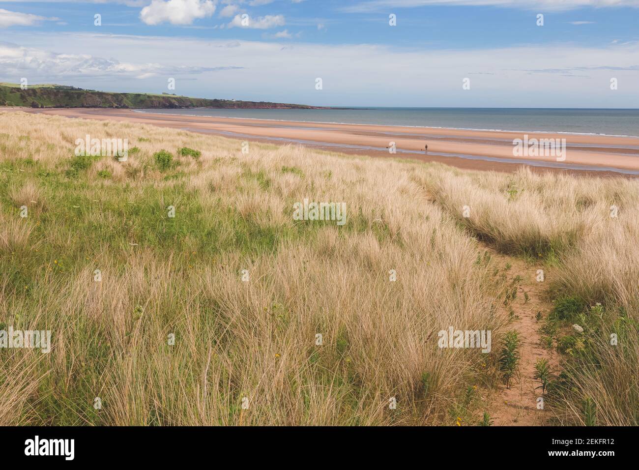 St cyrus national nature reserve hi-res stock photography and images ...