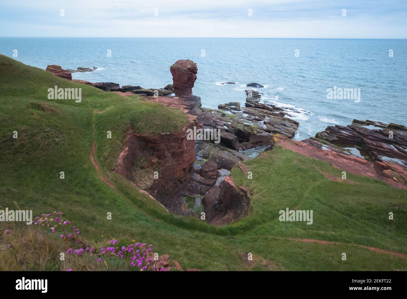 Devils head hi-res stock photography and images - Alamy