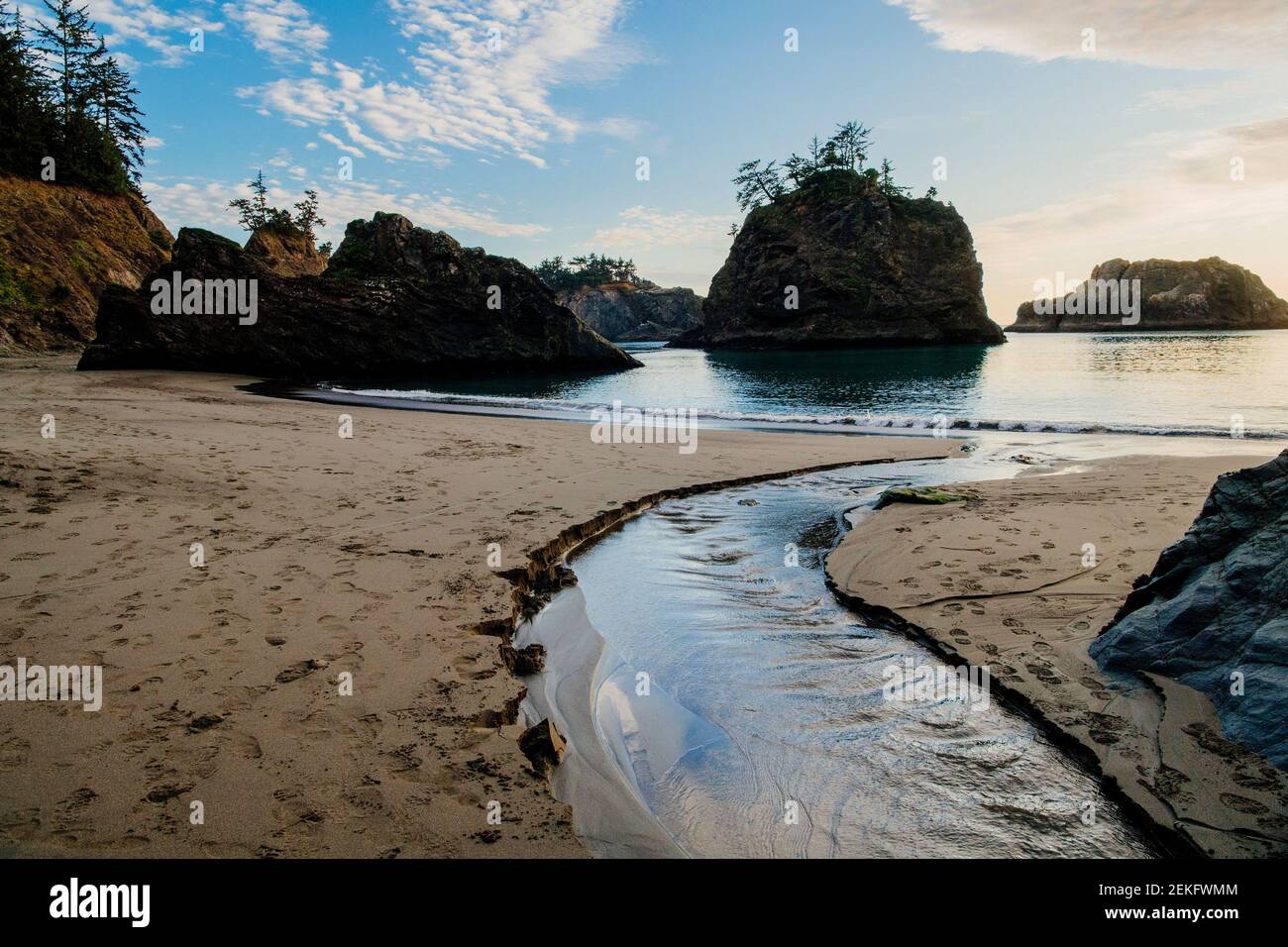 Sea coast at sunset, Samuel H. Boardman State Park, Brookings, Oregon ...