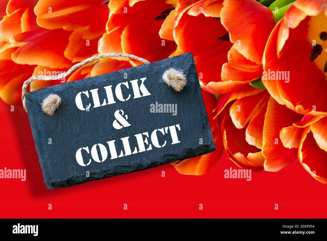 Tulips and Click and Collect Label Stock Photo - Alamy
